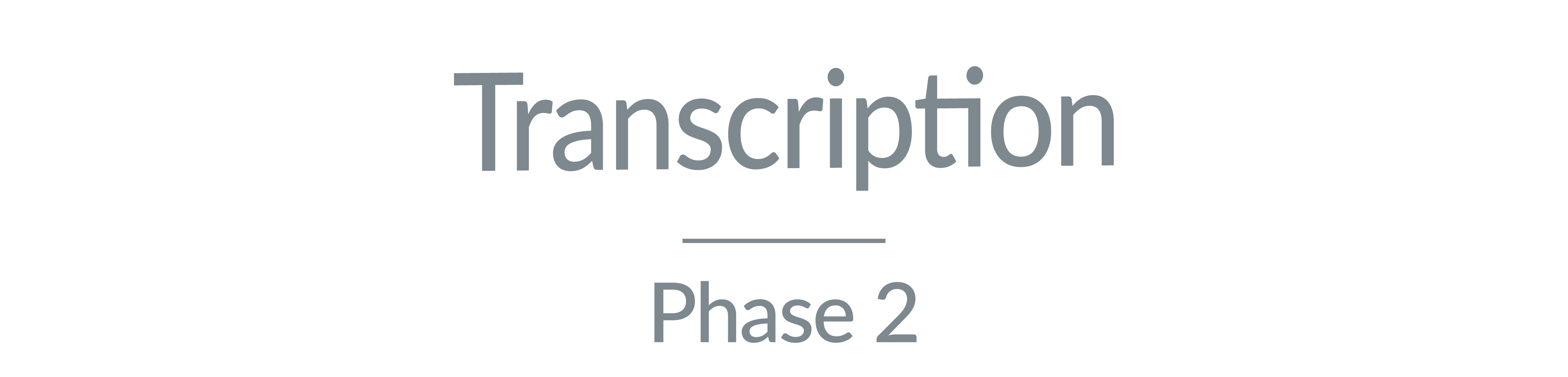 Phase 2 - Transcription - TownsWeb Archiving